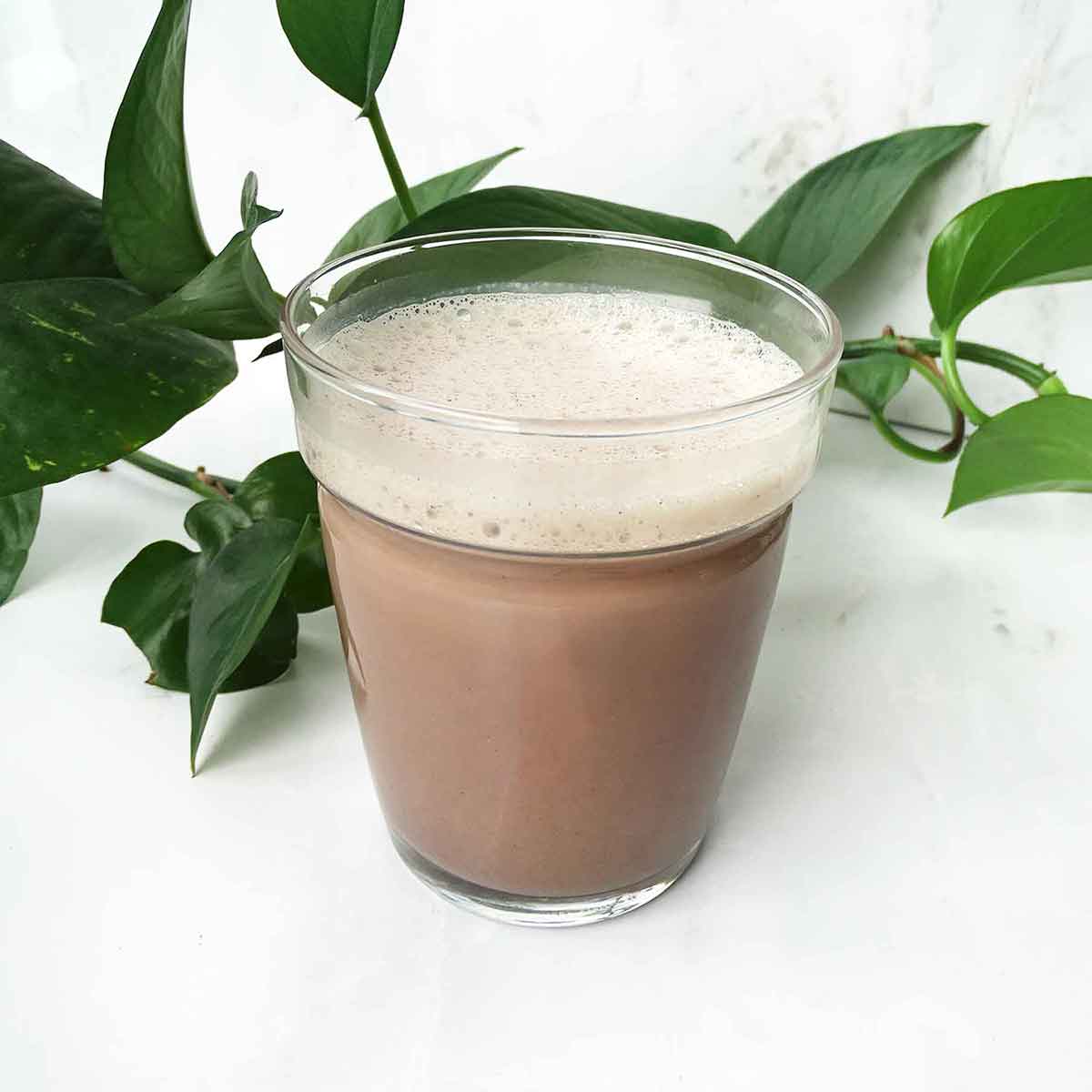 Sugar-Free Hot Chocolate - The Perfect Candida Diet Treat - Anti ...