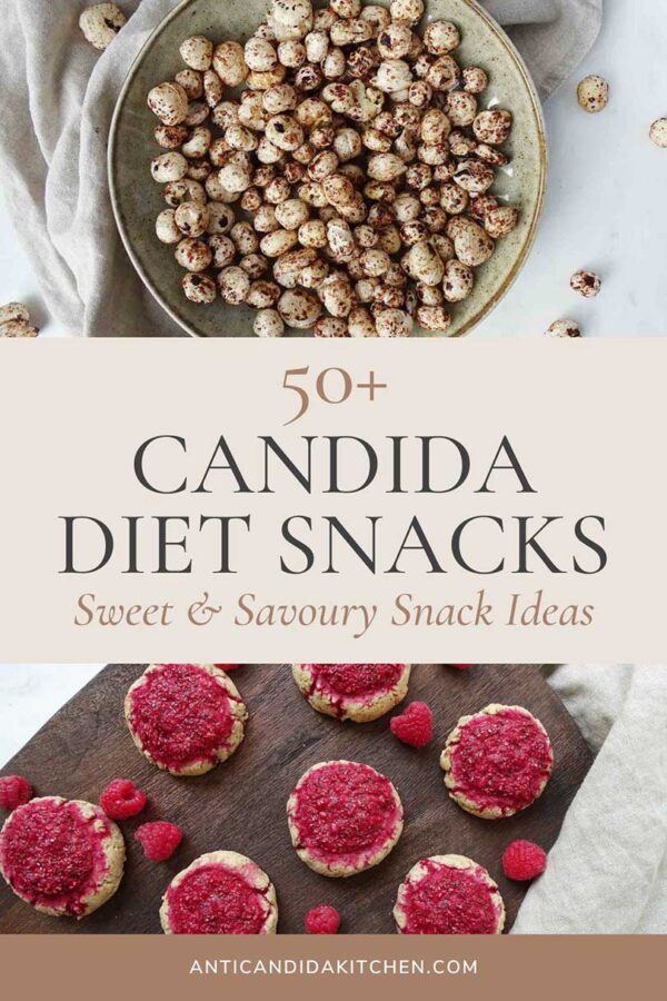50 Delicious Candida Diet Snacks Ideas – Sweet and Savoury - Anti ...